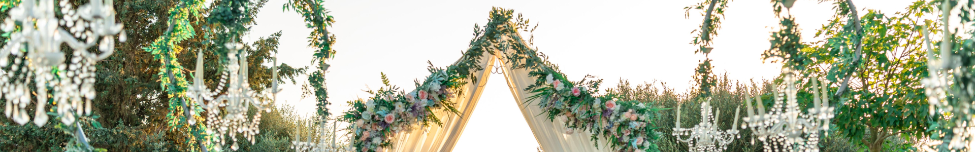 Absolute Bloom - The Cupule Venue